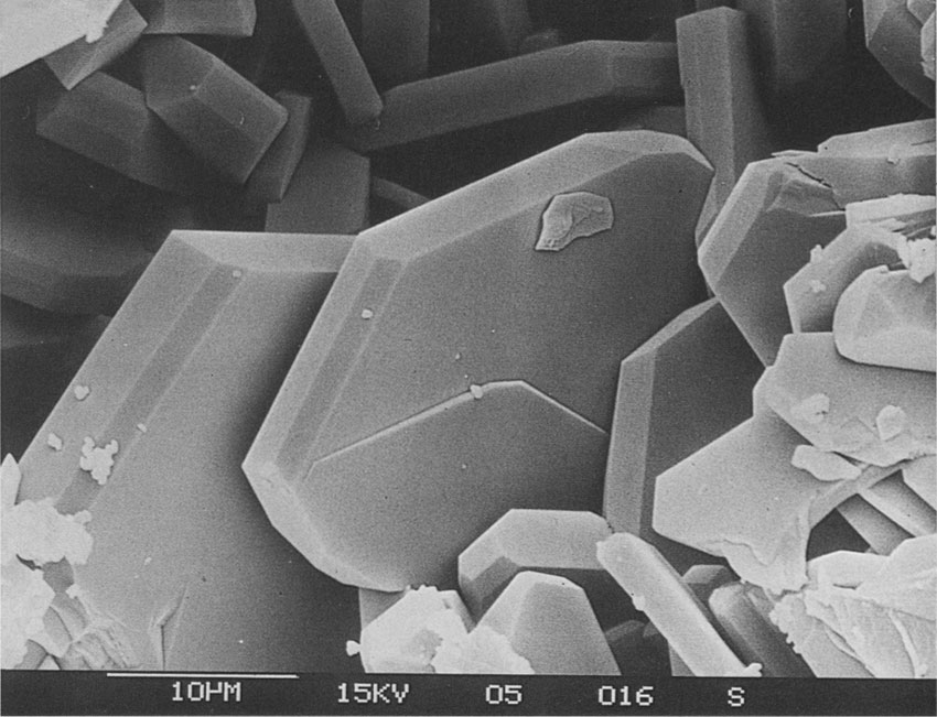 Clino™ Clinoptilolite Zeolite